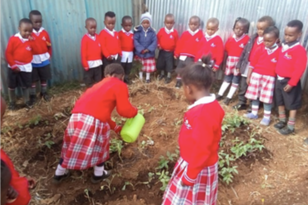 Tree Planting Project | EERUI